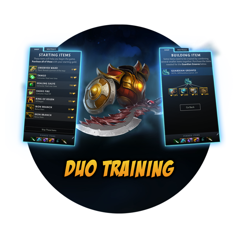 Dota 2 Duo Training – VikingDOTA