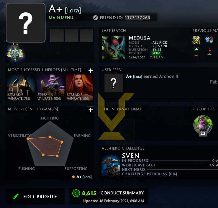 Archon II | MMR : 2490 - Behavior : 8615 – VikingDOTA