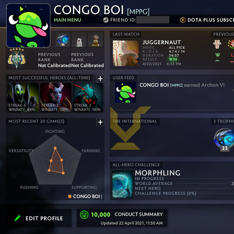 Archon V | MMR: 3020 - Behavior: 10000 – VikingDOTA