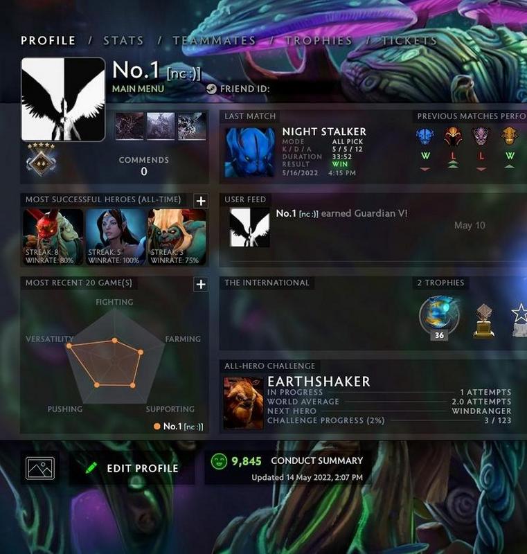 Guardian 5 | MMR: 1490- Behavior: 9845 – VikingDOTA